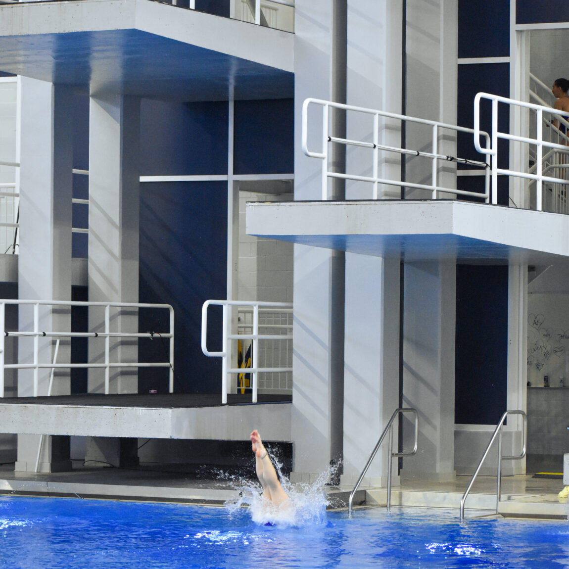 Learn-to-Swim ‣ Mylan Park